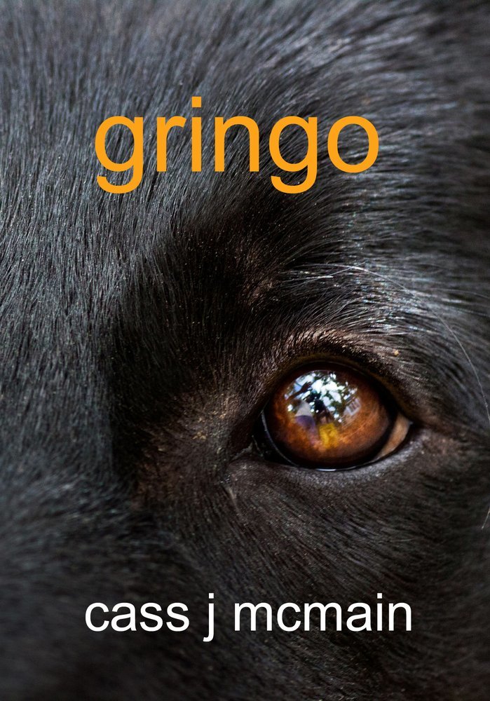 Gringo by Cass J. McMain | Goodreads