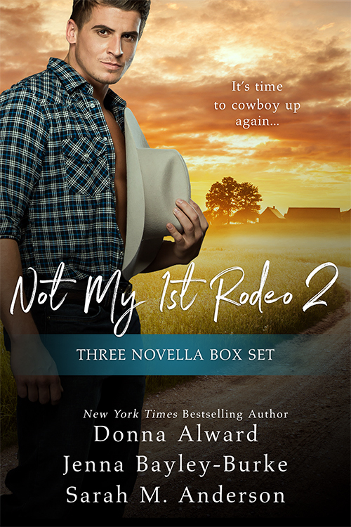 Not My First Rodeo 2 Boxed Set by Donna Alward | Goodreads