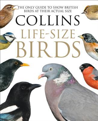 Collins Life-Size Birds: The Only Guide to Show British Birds at Their ...