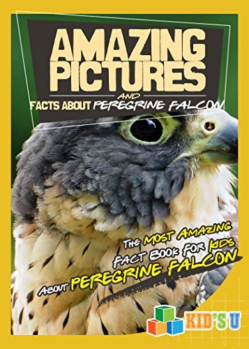 Amazing Pictures and Facts About Peregrine Falcons: The Most Amazing ...