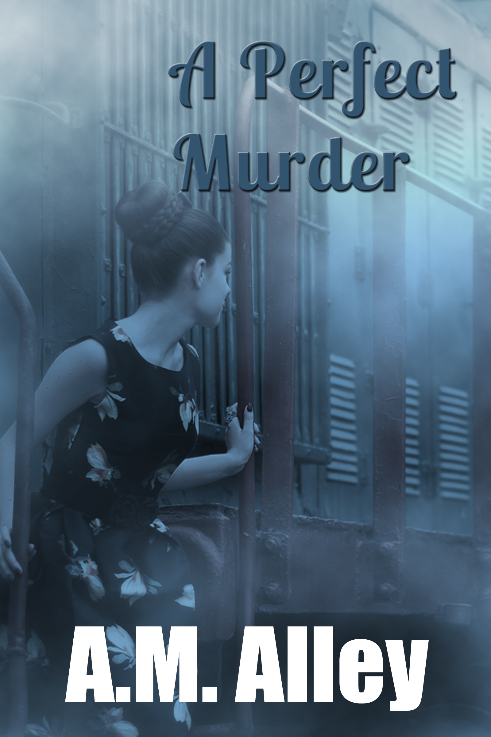 A Perfect Murder (Murder Games #4) by A.M. Alley | Goodreads