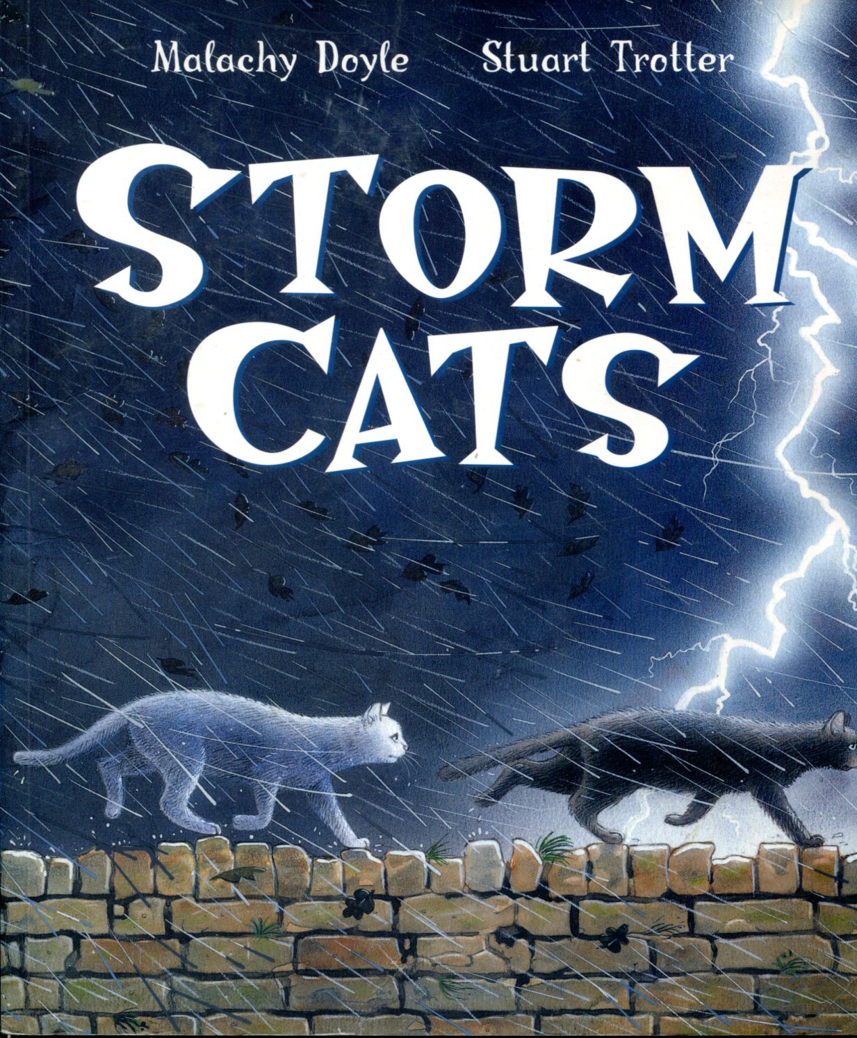 Storm Cats by Malachy Doyle | Goodreads