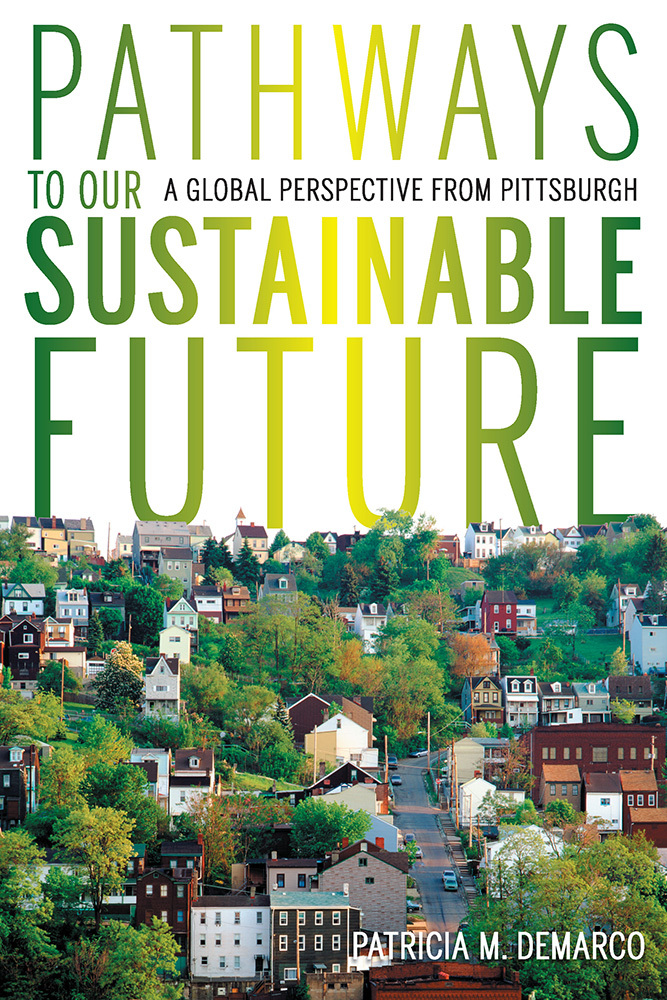 Pathways to Our Sustainable Future: A Global Perspective from ...