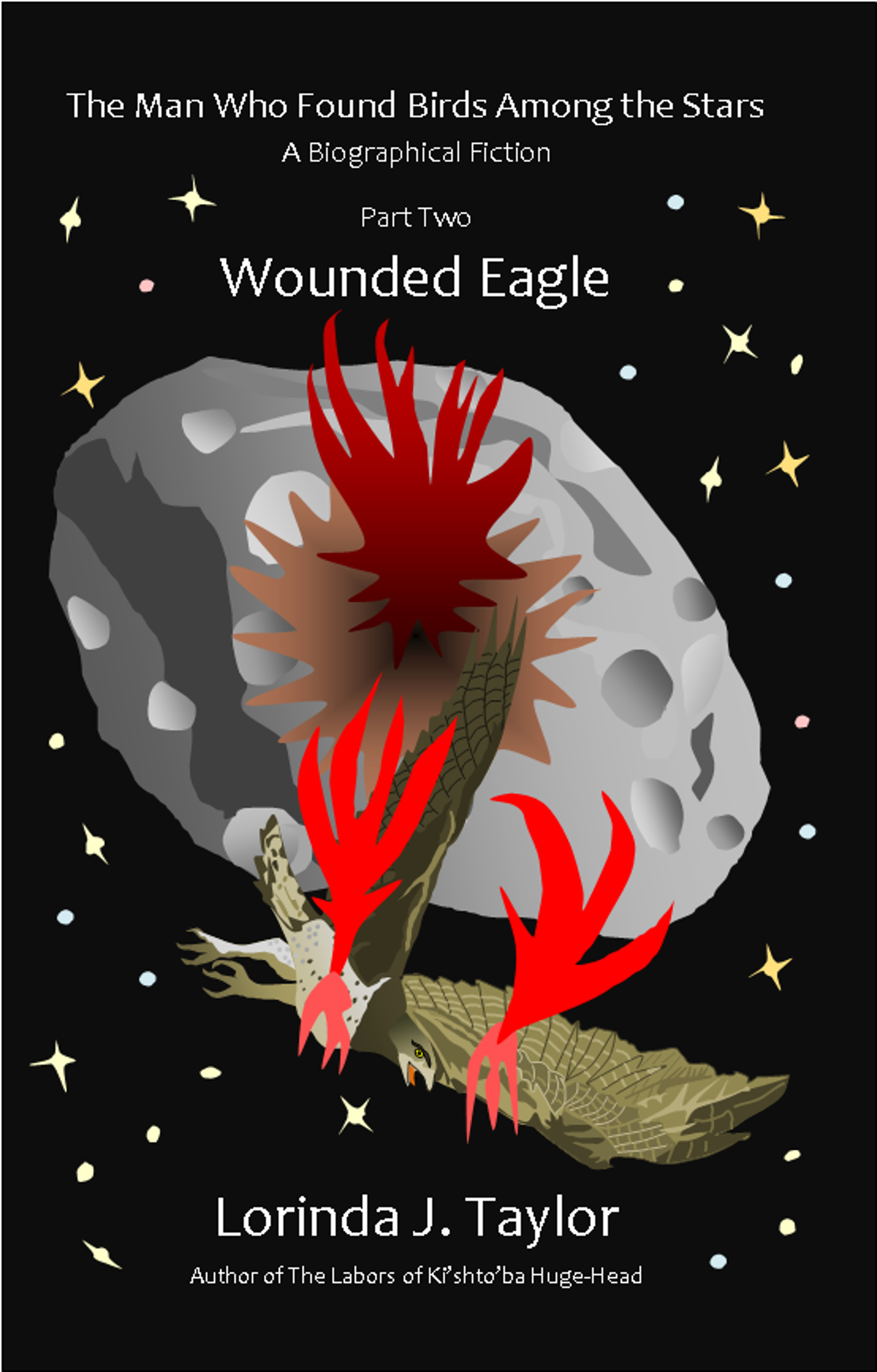 The Man Who Found Birds among the Stars, Part Two: Wounded Eagle by ...