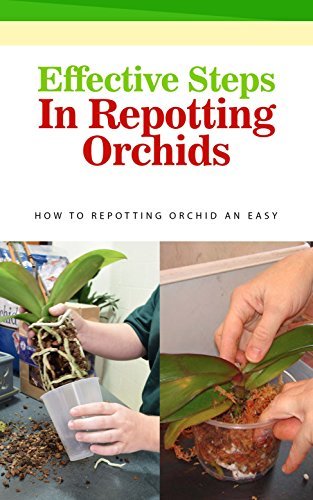 Effective Steps in Repotting Orchids: How to Repotting Orchid an Easy ...