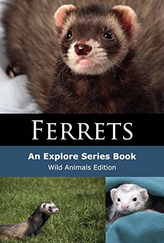 Ferrets by Explore Series | Goodreads
