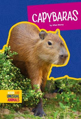 Capybaras (Weird and Unusual Animals) by Allan Morey | Goodreads