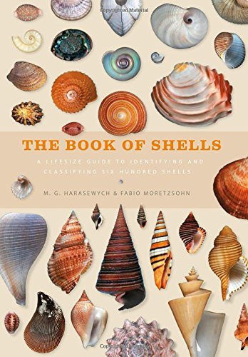 The Book of Shells by Jerry Harasewych | Goodreads