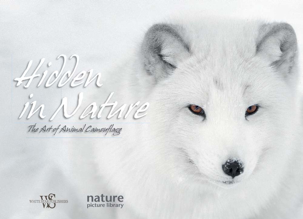Hidden in Nature: The Art of Animal Camouflage by Anna Levin | Goodreads