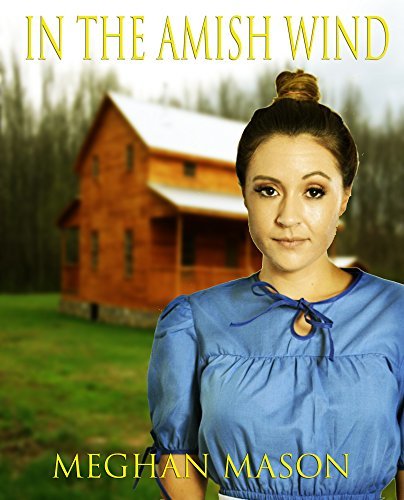 In The Amish Wind by Meghan Mason | Goodreads