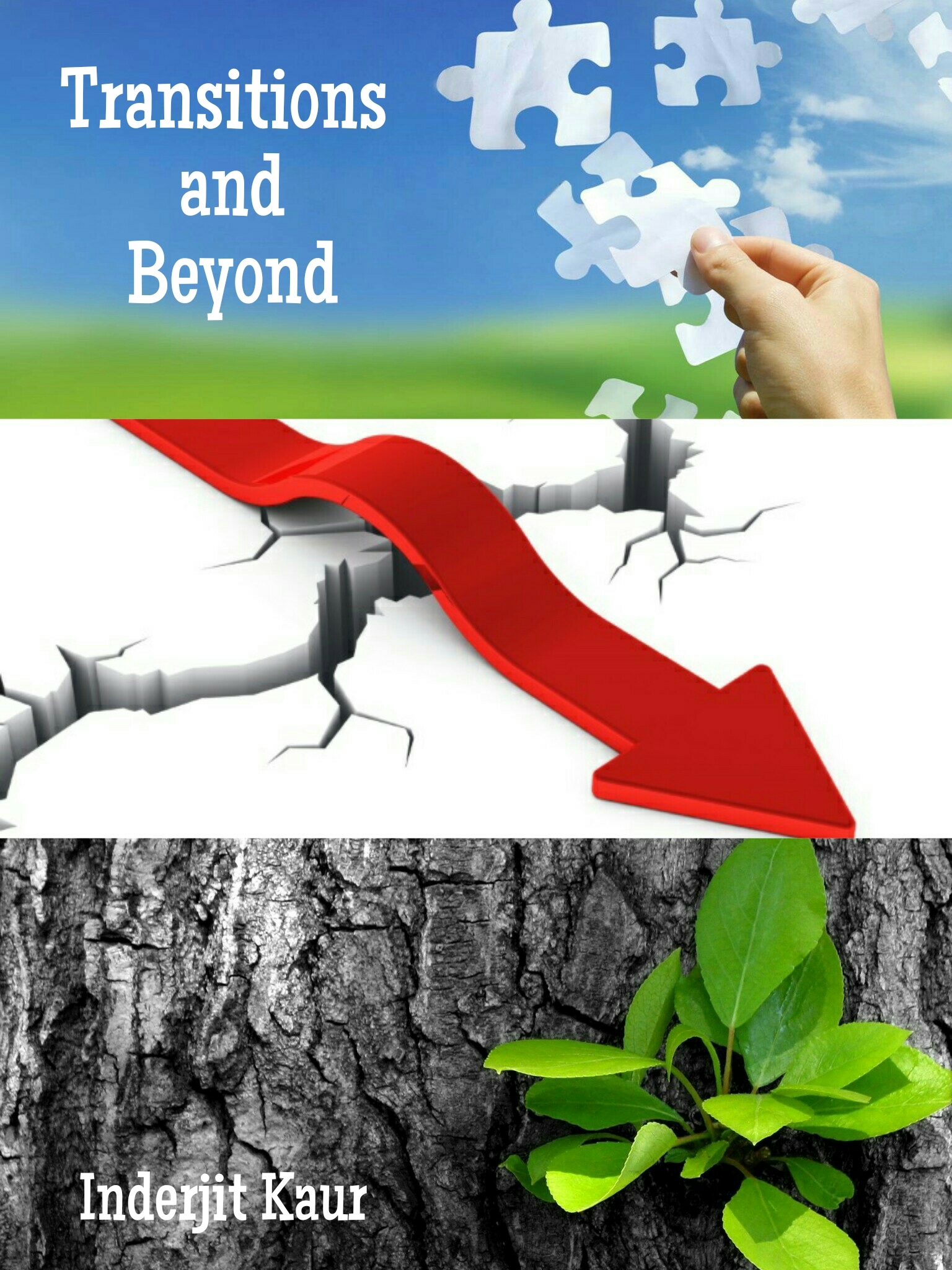 Transitions And Beyond by Inderjit Kaur | Goodreads