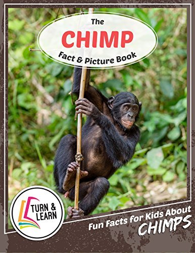 The Chimp Fact and Picture Book: Fun Facts for Kids About Chimps by ...