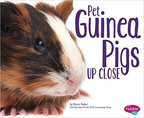Pet Guinea Pigs Up Close (Pets Up Close) by Brynn Baker | Goodreads