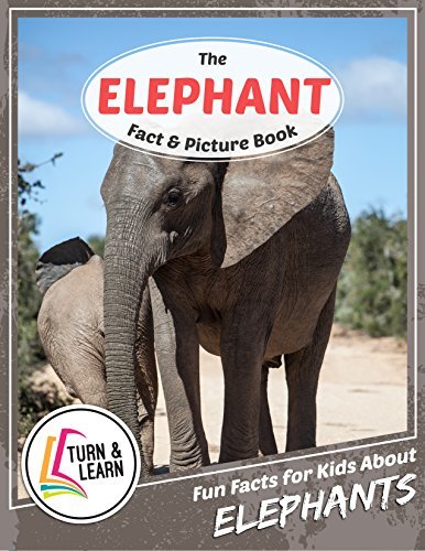 The Elephant Fact and Picture Book: Fun Facts for Kids About Elephants ...