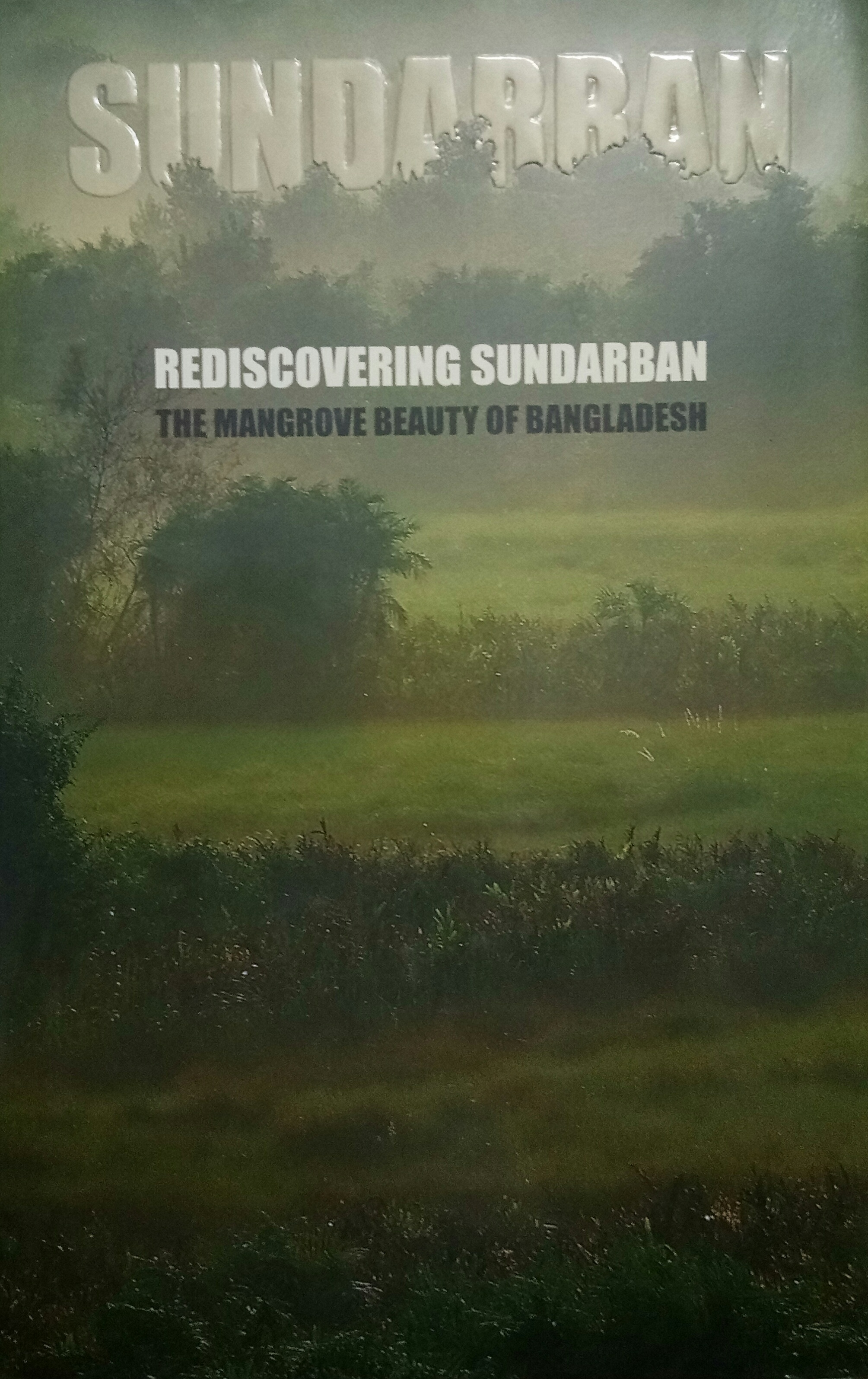 Rediscovering Sundarban - The Mangrove Beauty of Bangladesh by Reza ...