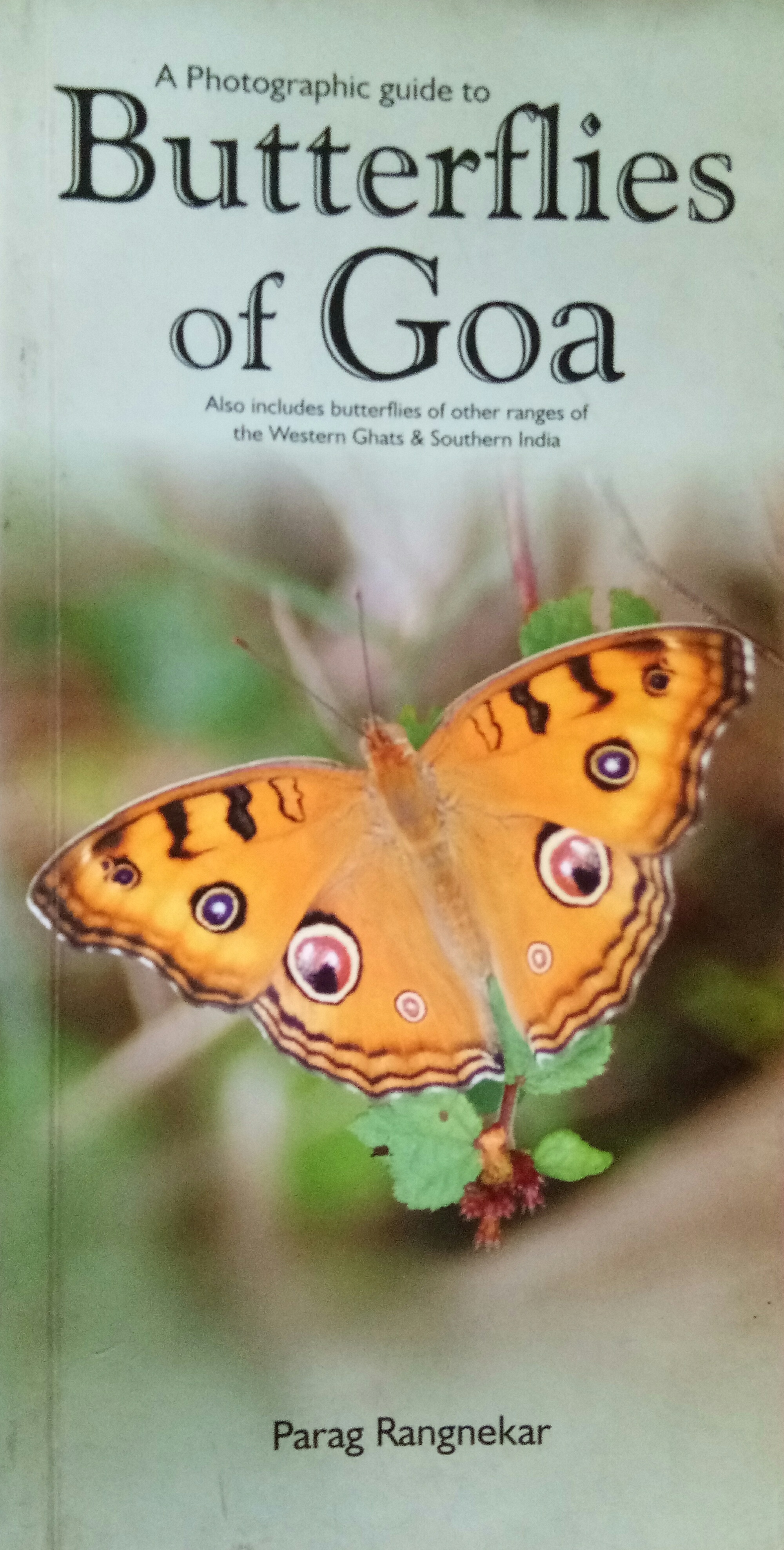 A photographic Guide to Butterflies of Goa by Parag Rangnekar | Goodreads