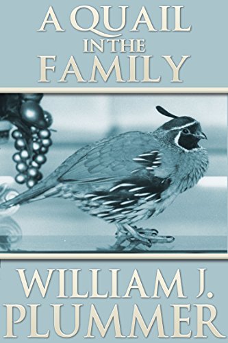 A Quail in the Family: The Story of Peep-Sight by William J. Plummer ...