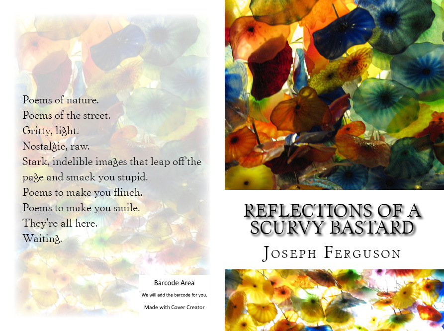 Reflections of a Scurvy Bastard by Joseph Ferguson | Goodreads