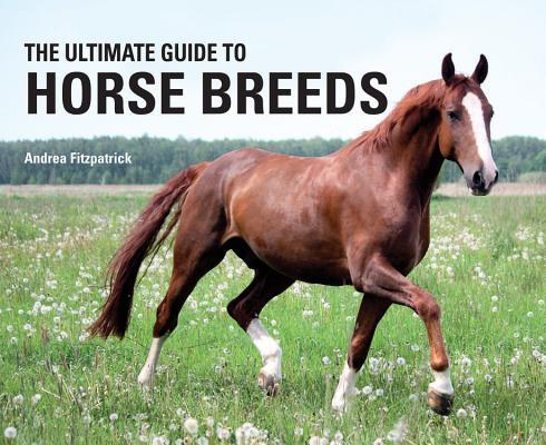 The Ultimate Guide to Horse Breeds by Andrea Fitzpatrick | Goodreads