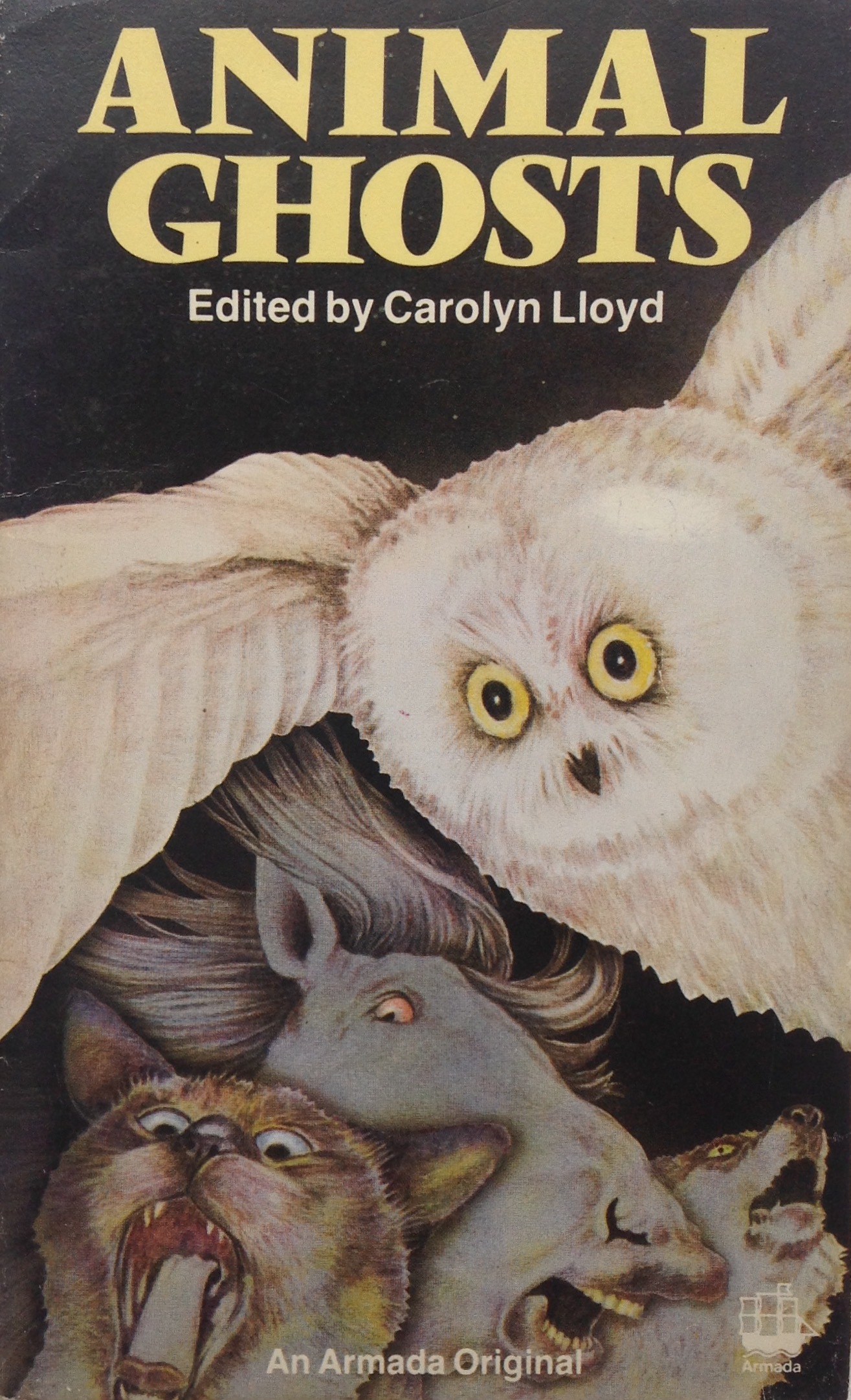 Animal Ghosts by Carolyn Lloyd | Goodreads