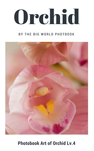 Orchids by The Big World Photobook : Beautiful orchids, Orchids ...