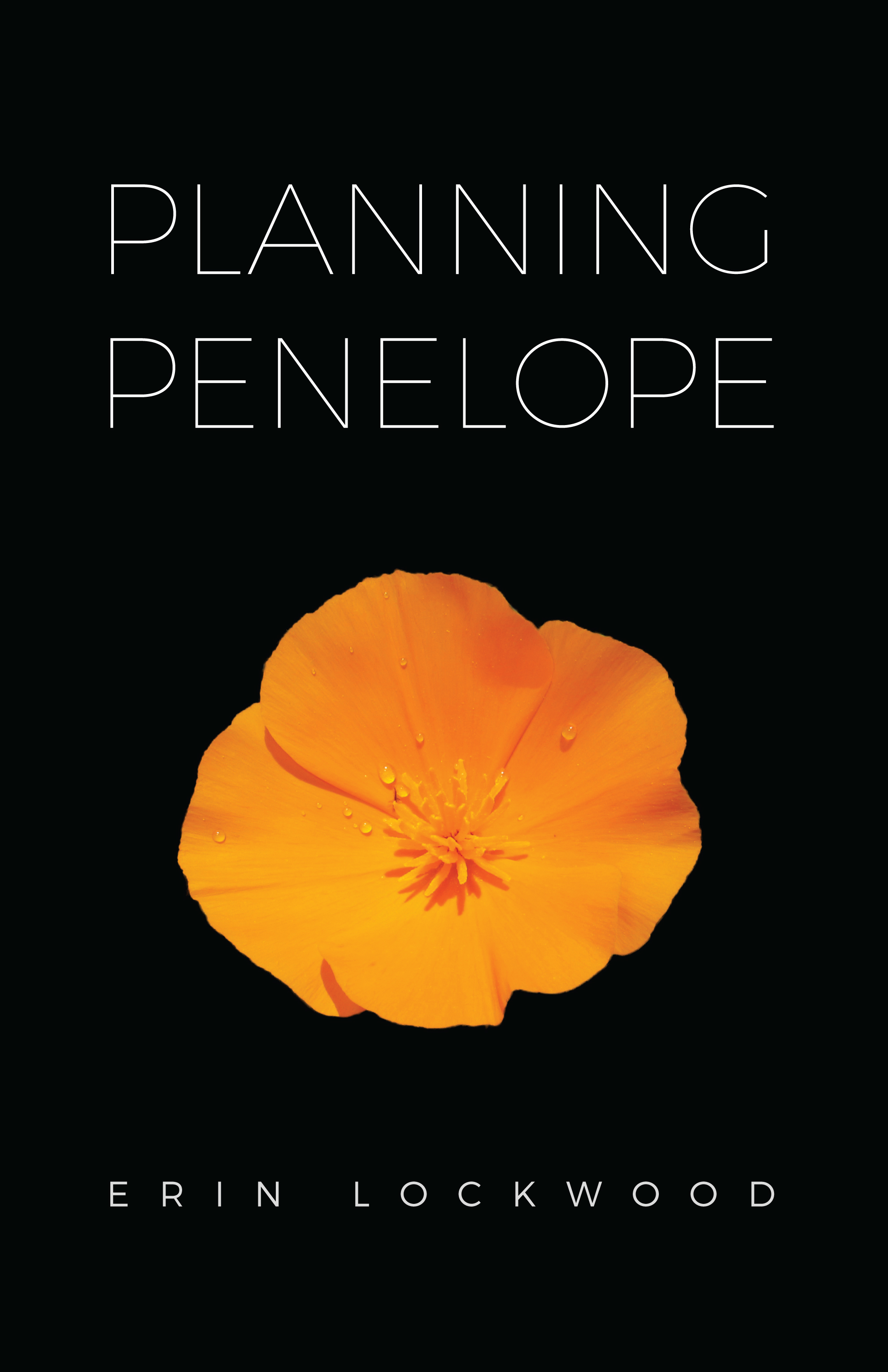 Planning Penelope by Erin Lockwood | Goodreads
