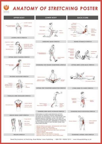 Stretching Chart