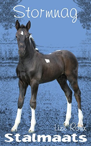 Stormnag by Lize Roux | Goodreads