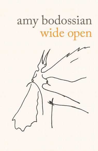 Wide Open by Amy Bodossian | Goodreads