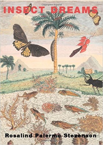 Insect Dreams by Rosalind Palermo Stevenson | Goodreads