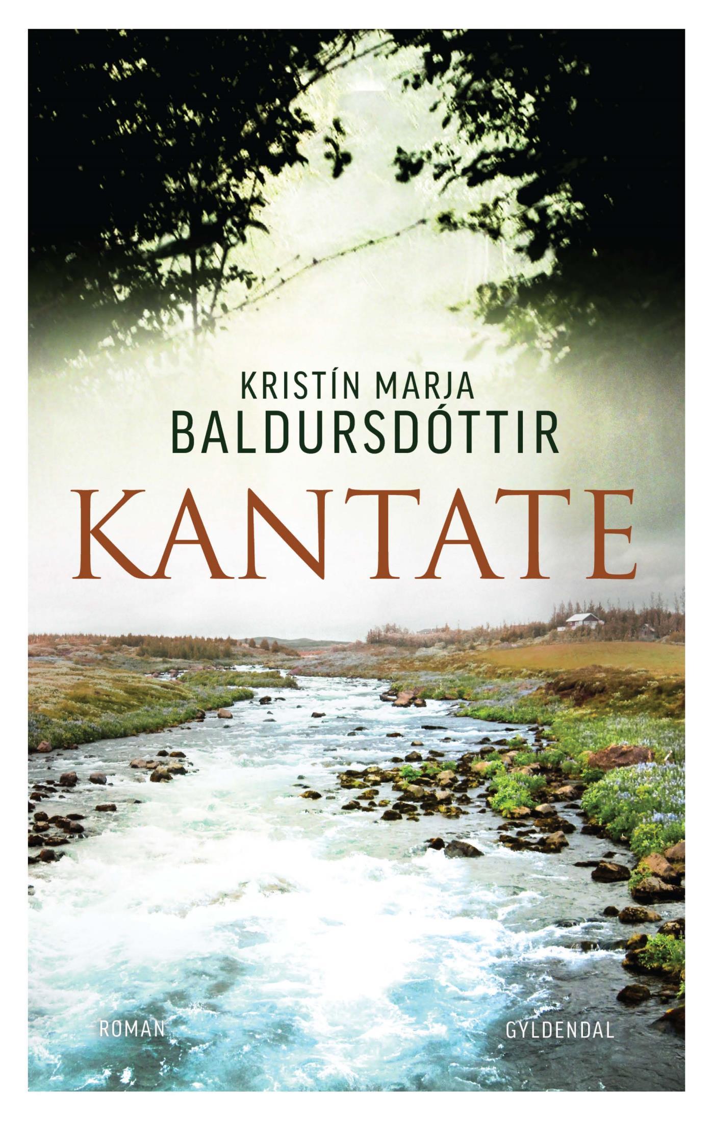 Kantate by Kristín Marja Baldursdóttir | Goodreads