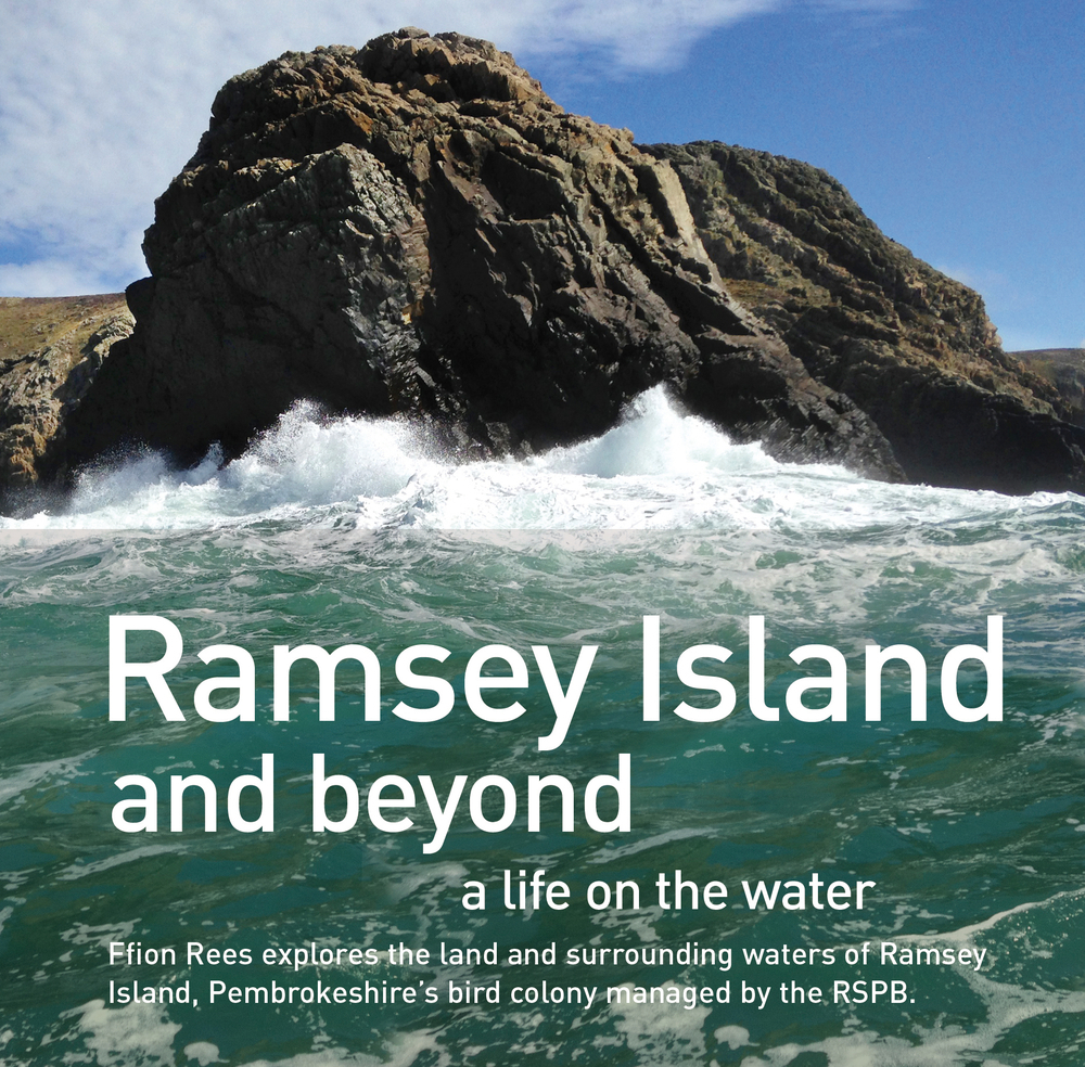 Ramsey Island: A Life On The Water by Ffion Rees | Goodreads