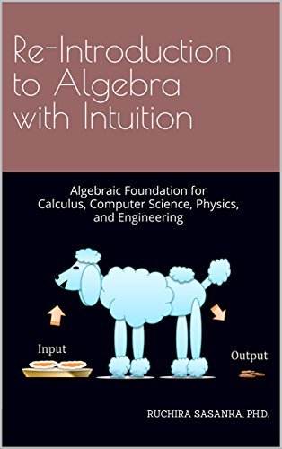 Re-Introduction to Algebra with Intuition: Algebraic Foundation for ...