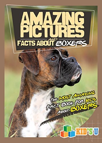 Amazing Pictures and Facts About Boxers: The Most Amazing Fact Book for ...