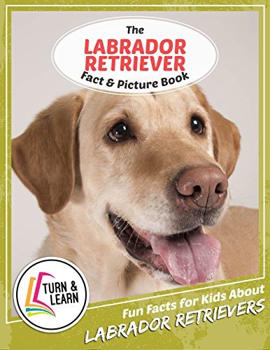 The Labrador Retriever Fact and Picture Book: Fun Facts for Kids About ...