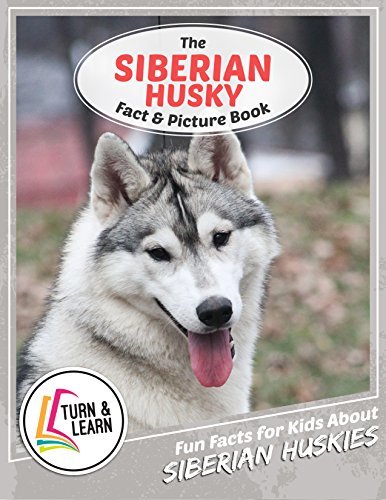 The Siberian Husky Fact and Picture Book: Fun Facts for Kids About ...