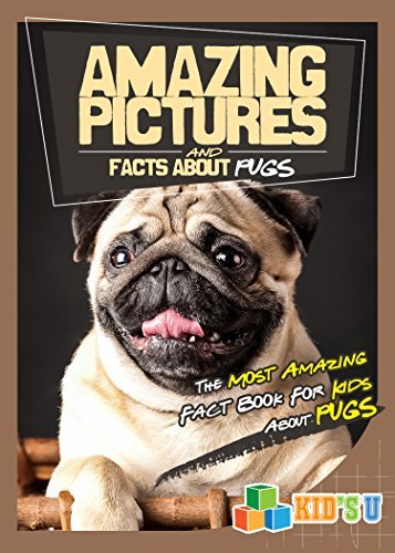 Amazing Pictures and Facts About Pugs : The Most Amazing Fact Book for ...