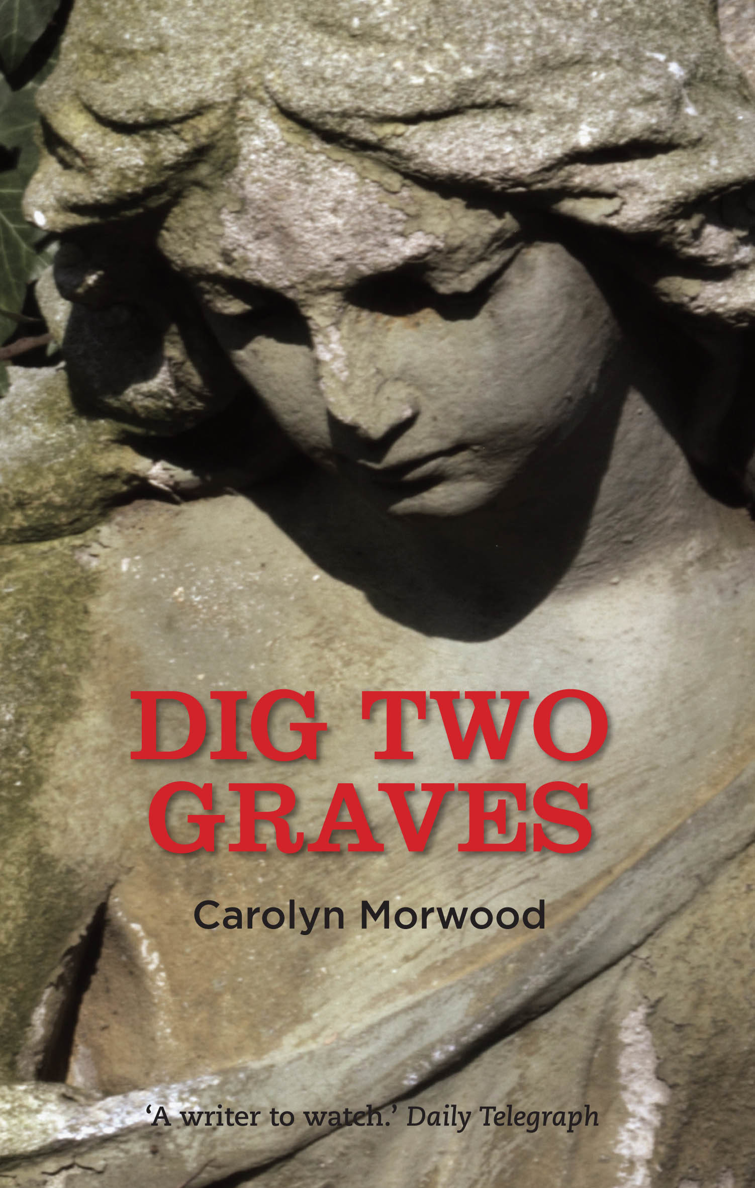 Dig Two Graves by Carolyn Morwood | Goodreads