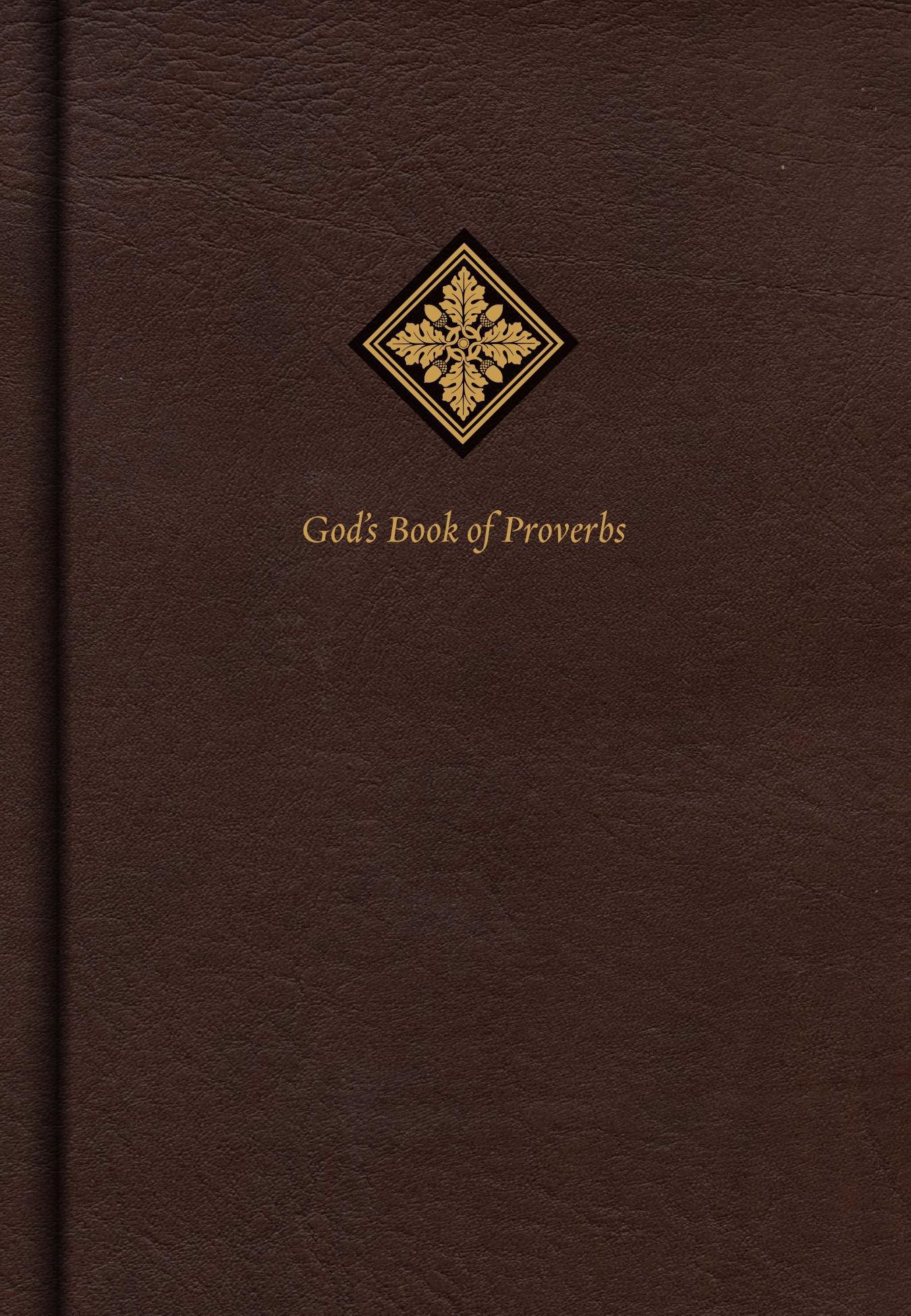 God's Book of Proverbs: Biblical Wisdom Arranged by Topic by B&H ...
