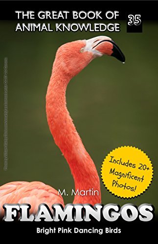 Flamingos : The Bright Pink Dancing Birds (The Great Book of Animal ...