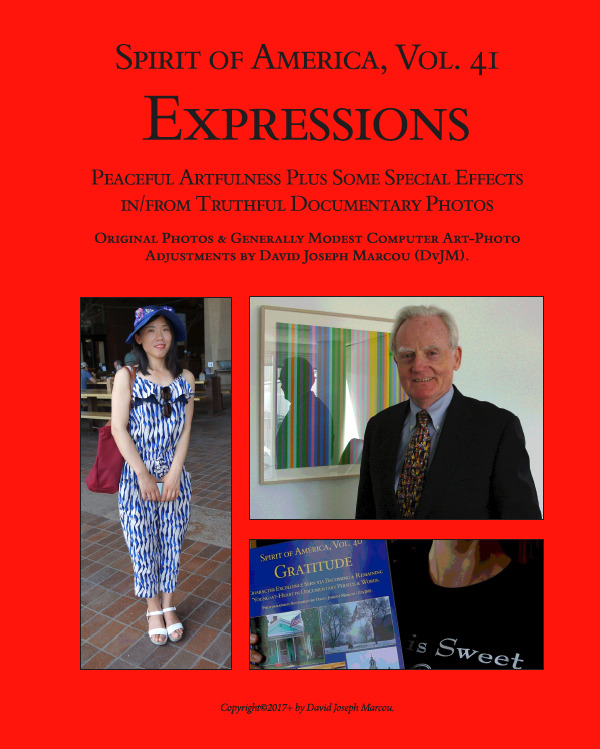 Spirit of America: Expressions (Volume 41) by David Joseph Marcou ...