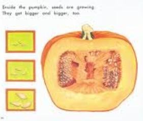 A Pumpking Grows by Linda D. Bullock | Goodreads