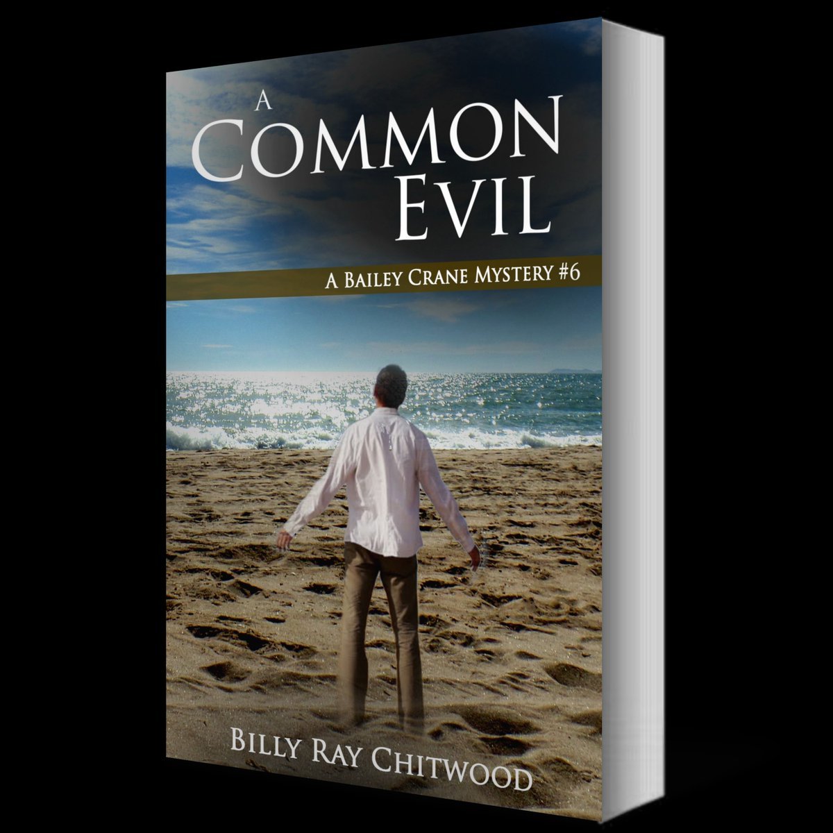 A Common Evil - A Bailey Crane Mystery (#6) by Billy Ray Chitwood ...