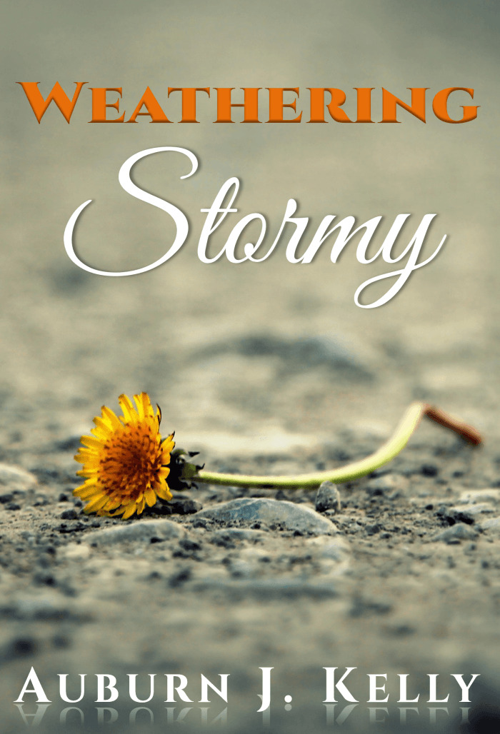 Weathering Stormy by Auburn J. Kelly | Goodreads