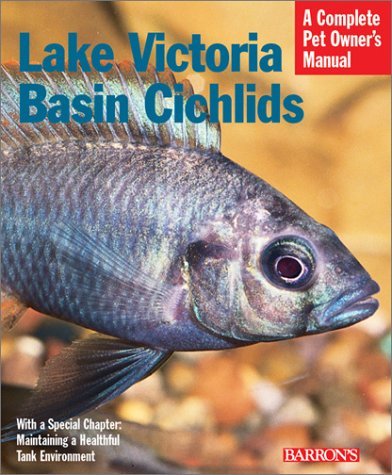 Lake Victoria Basin Cichlids: Everything About History, Setting Up an ...