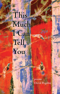 This Much I Can Tell You by David Rigsbee | Goodreads