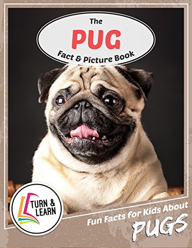 The Pug Fact and Picture Book: Fun Facts for Kids About Pugs by Gina ...