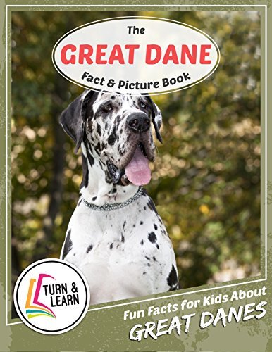 The Great Dane Fact and Picture Book: Fun Facts for Kids About Great ...