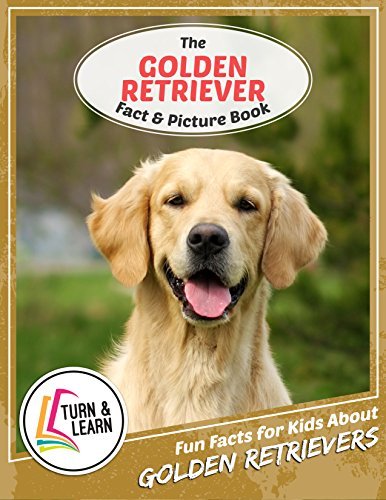 The Golden Retriever Fact and Picture Book: Fun Facts for Kids About ...