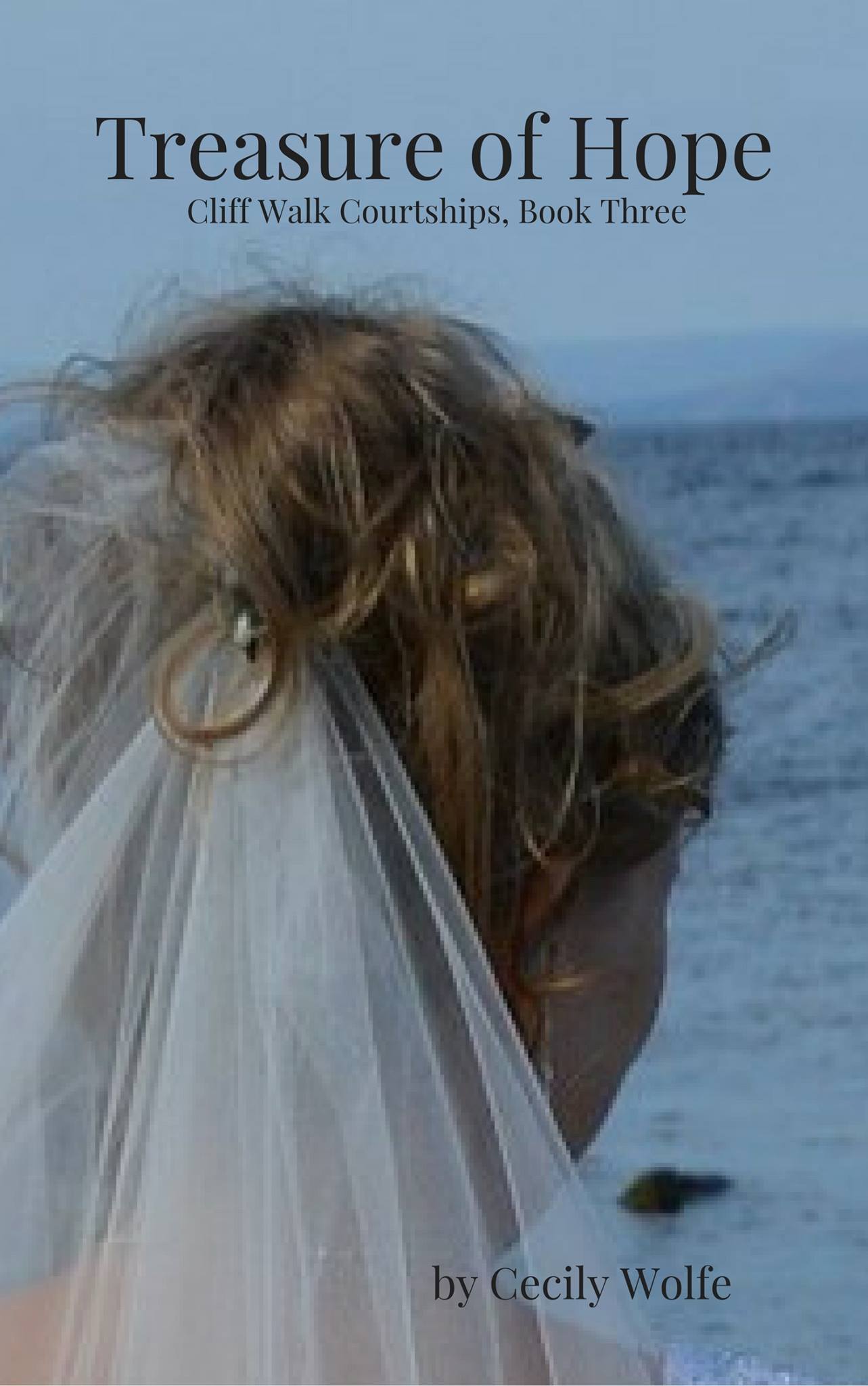 Treasure of Hope (Cliff Walk Courtships, #3) by Cecily Wolfe | Goodreads